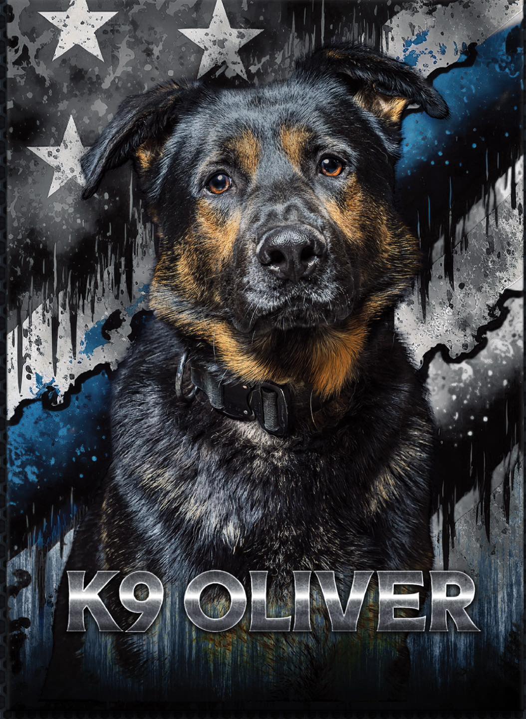 Welcome K9 Oliver to The Paullina Police Department! – Paullina, Iowa